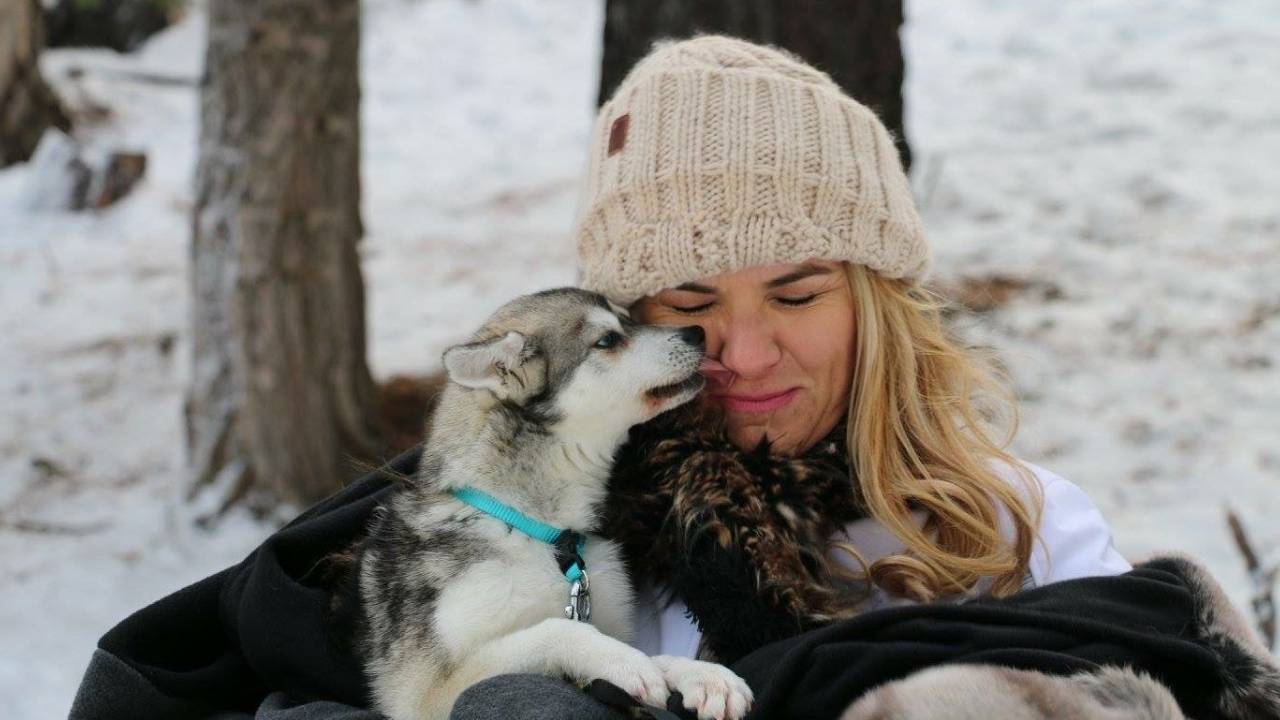 Happy Klee Kai Owners