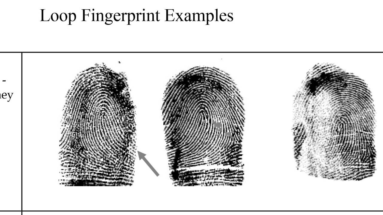 Life School of Love based on fingerprints