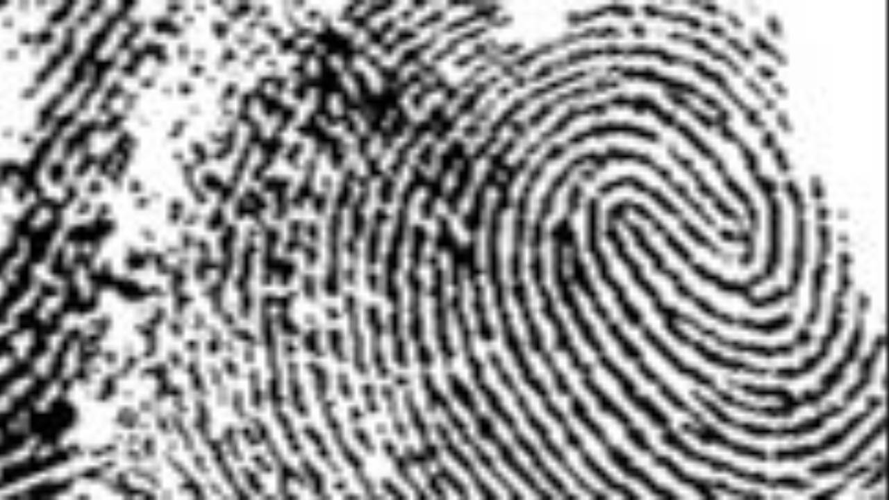 Composite Whorl Fingerprint Patterns