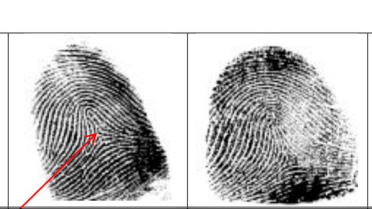 School of Wisdom stories based on Fingerprints