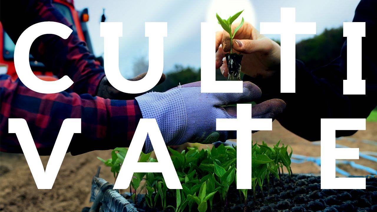 NCCL Blog - Cultivating a Life of Ministry and Service