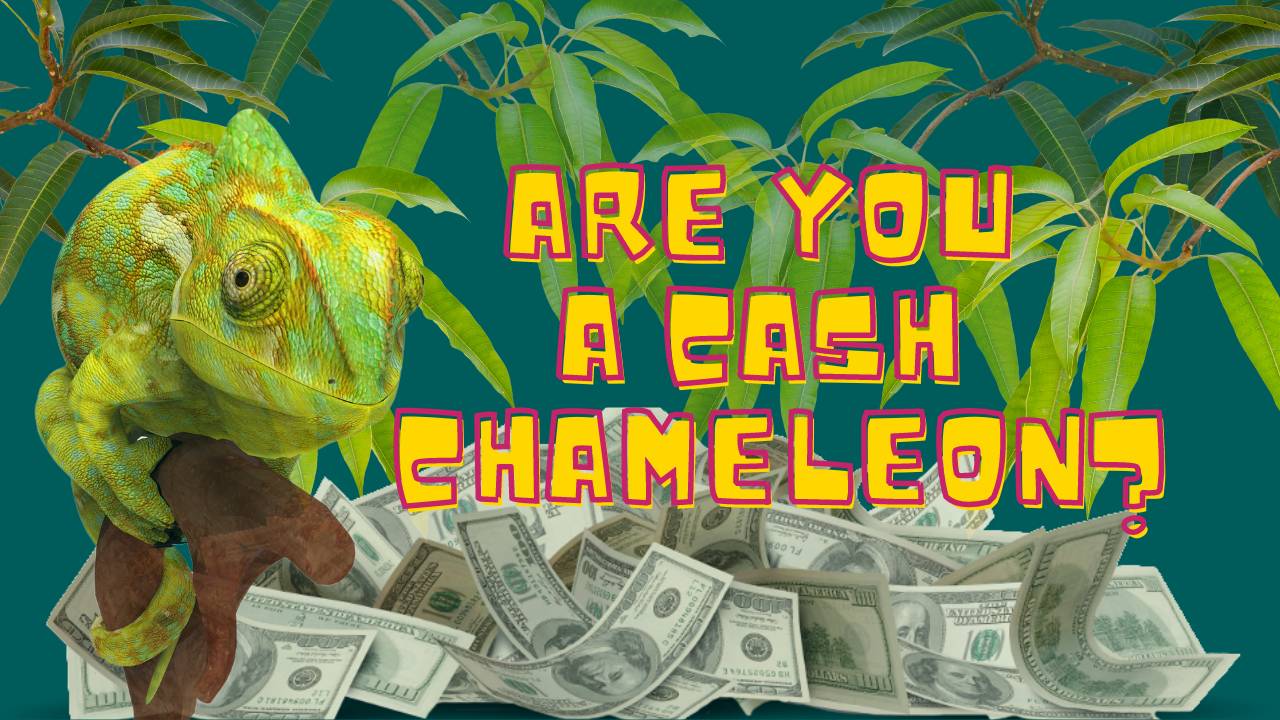 Money Mindset Review ... Are You A Cash Chameleon?
