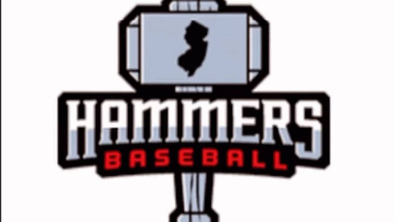 Hammers Baseball Remote Training