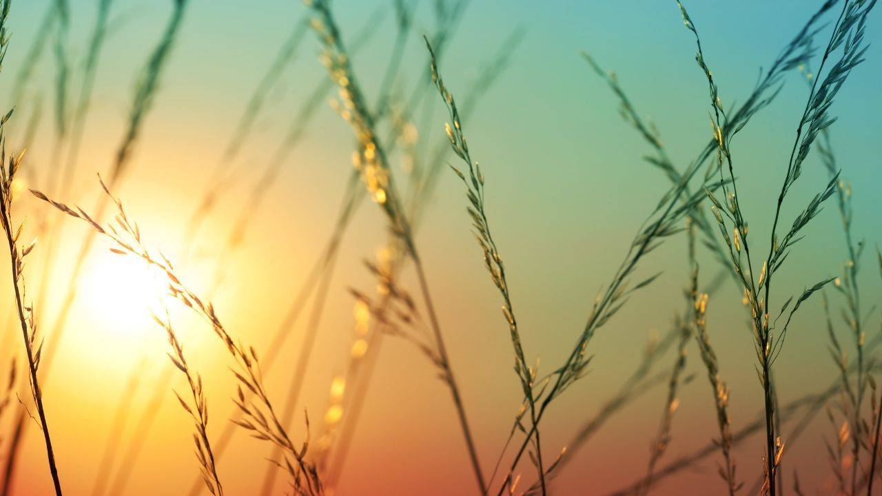 Overcoming Inertia: Action's Role in Achieving Abundance and Success