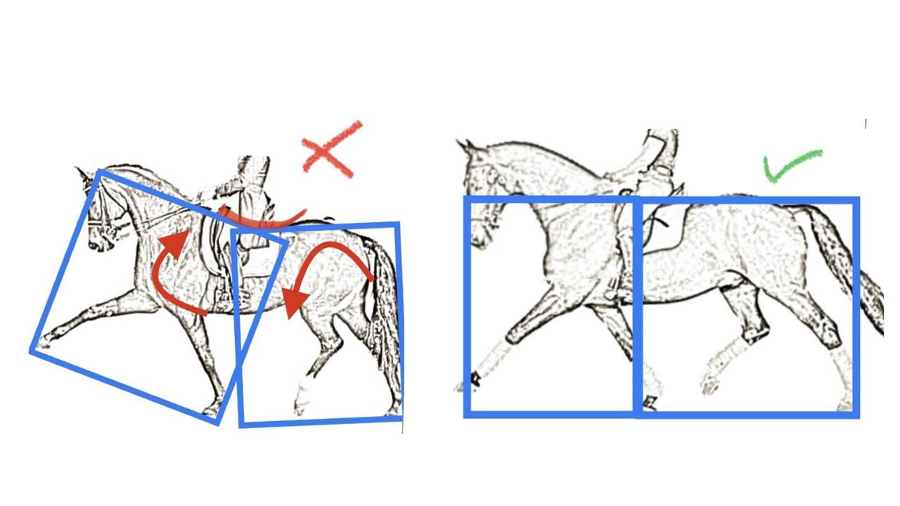 Training the eye: extended trot