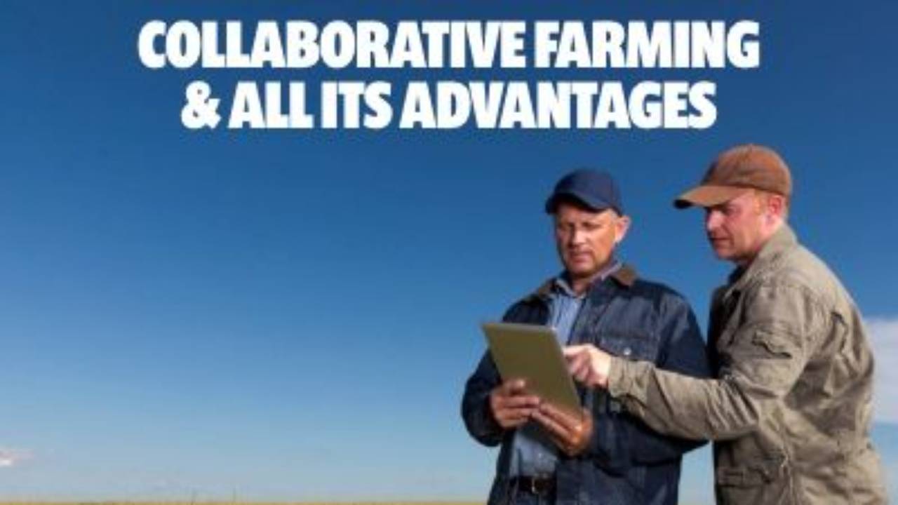 Collaborative Farming & all its Advantages