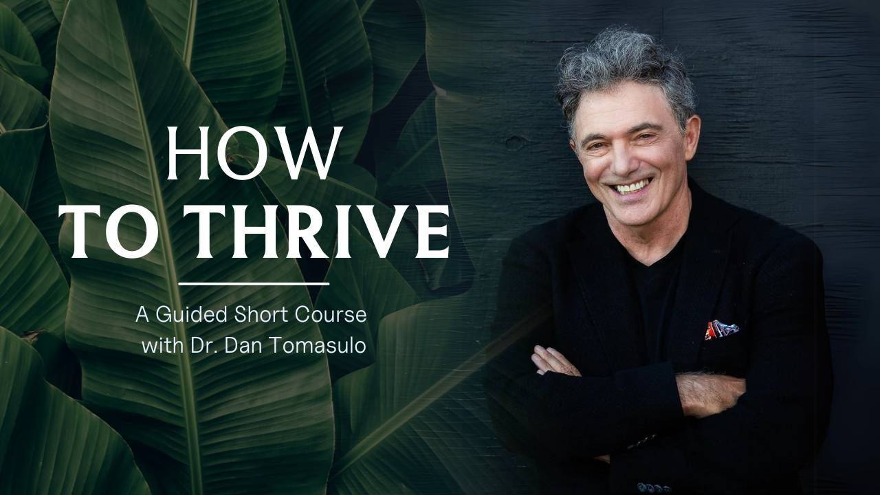How to Thrive Short Online Course | Infijoy