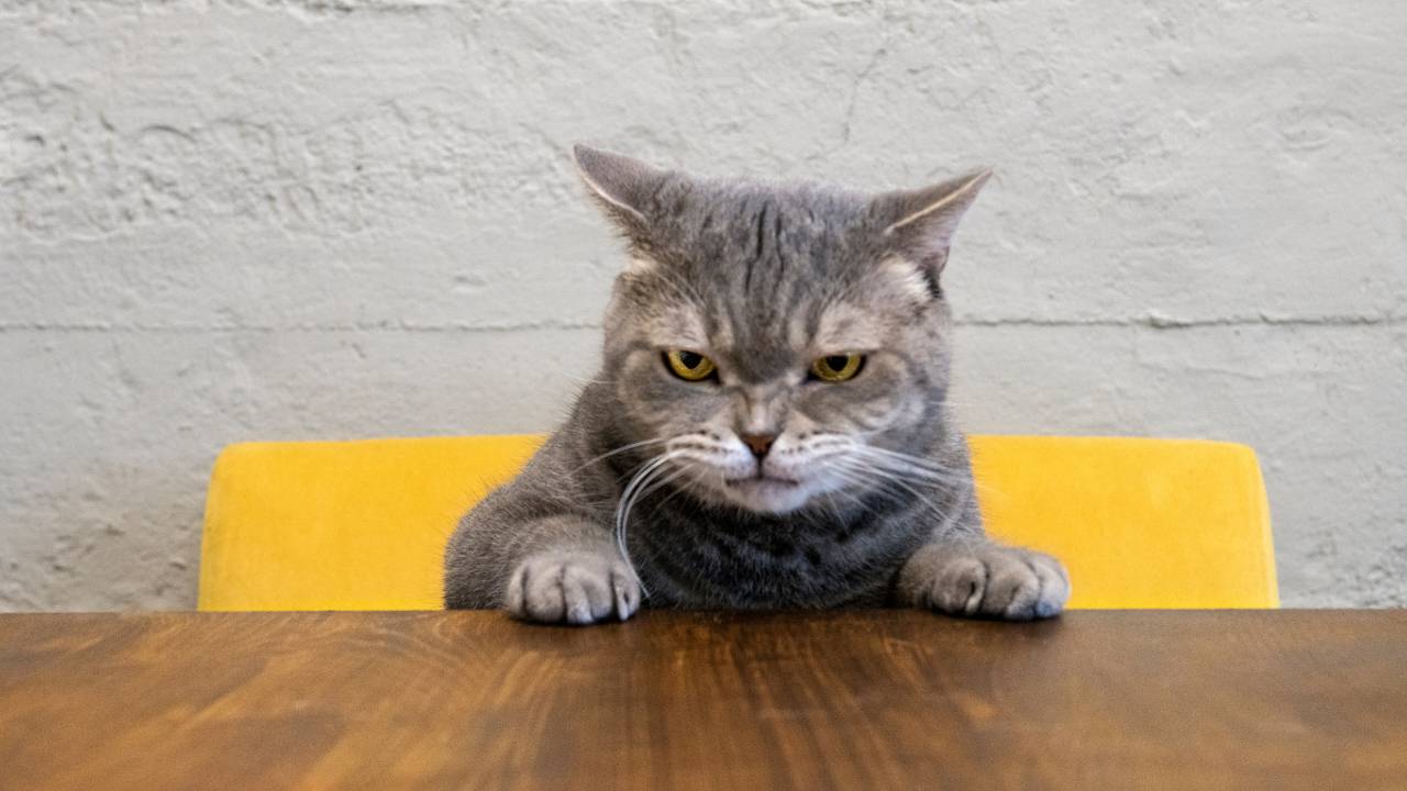 3 Tips to Stop Avoiding Confrontation