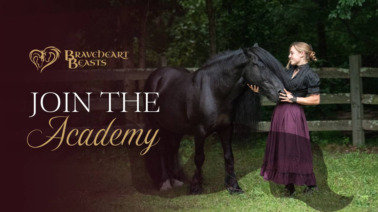 Braveheart Beasts | Empowering Connection Through Horsemanship