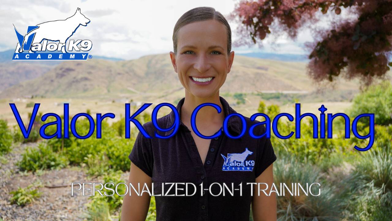 Valor K9 Coaching | 1-on-1 Online Dog Training