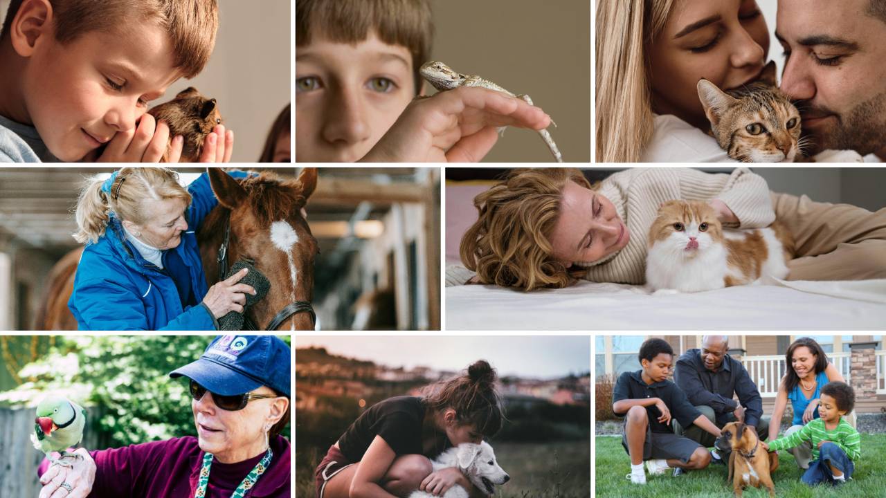 PerPETual Love – Gentle Pet Loss Support