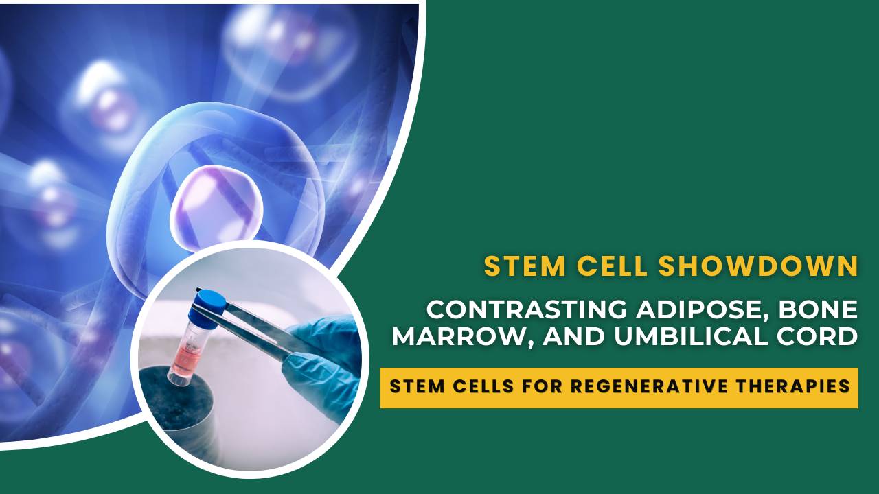 Stem Cell Showdown: Adipose, Bone Marrow, & Umbilical Cord Stem Cells