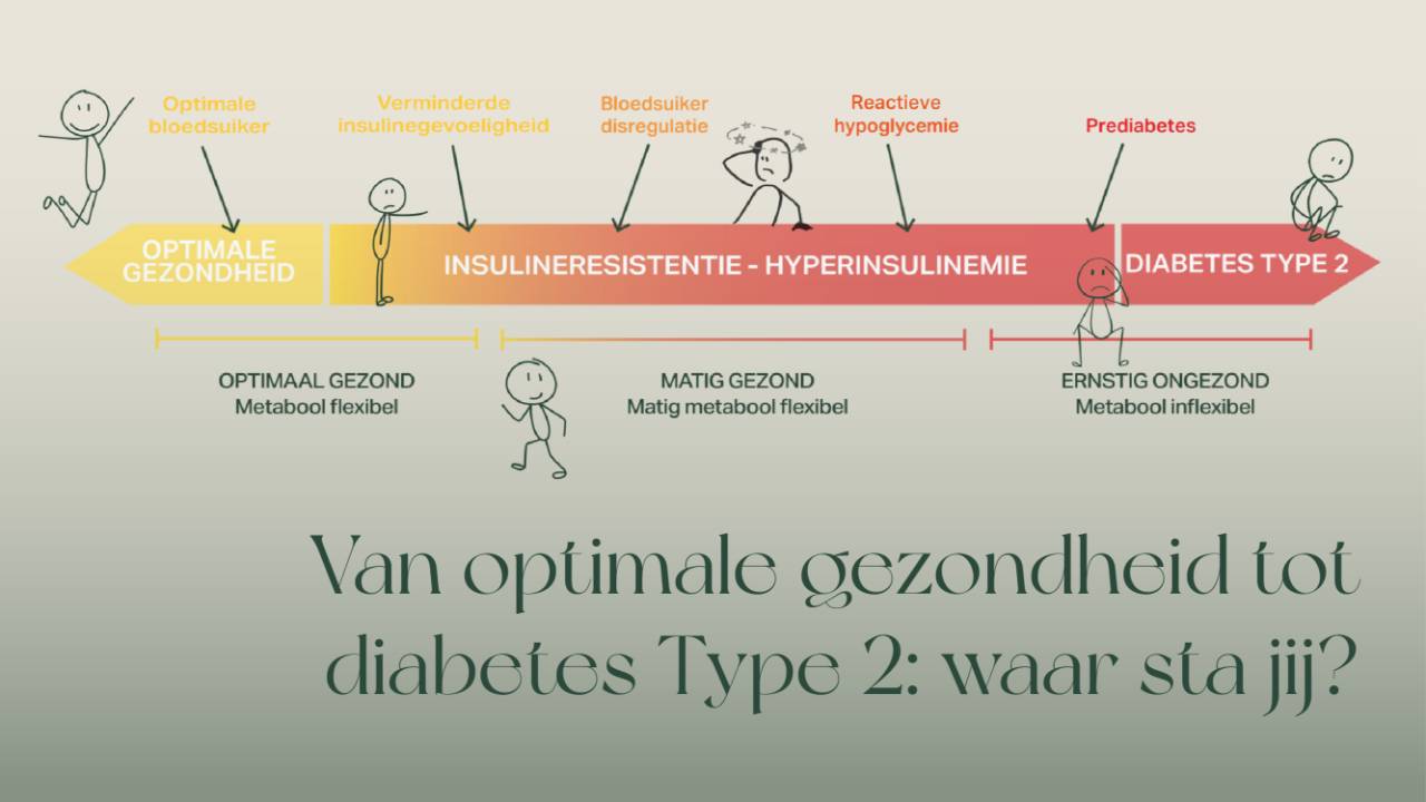 Van optimale gezondheid tot diabetes Type 2: waar sta jij?