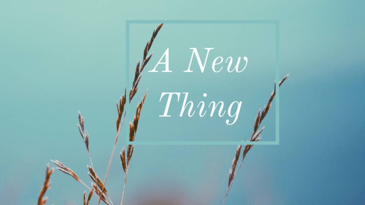 New Thing
