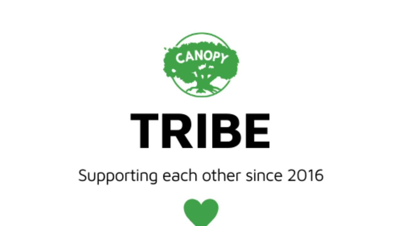 Canopy Community | Supporting entrepreneurs on their startup journey