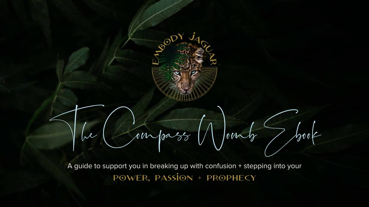 The Compass Womb eBook