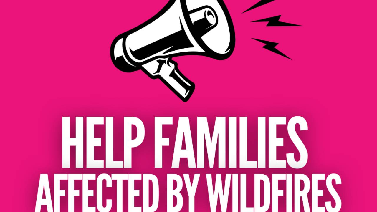 LA Wildfire Support & Resources