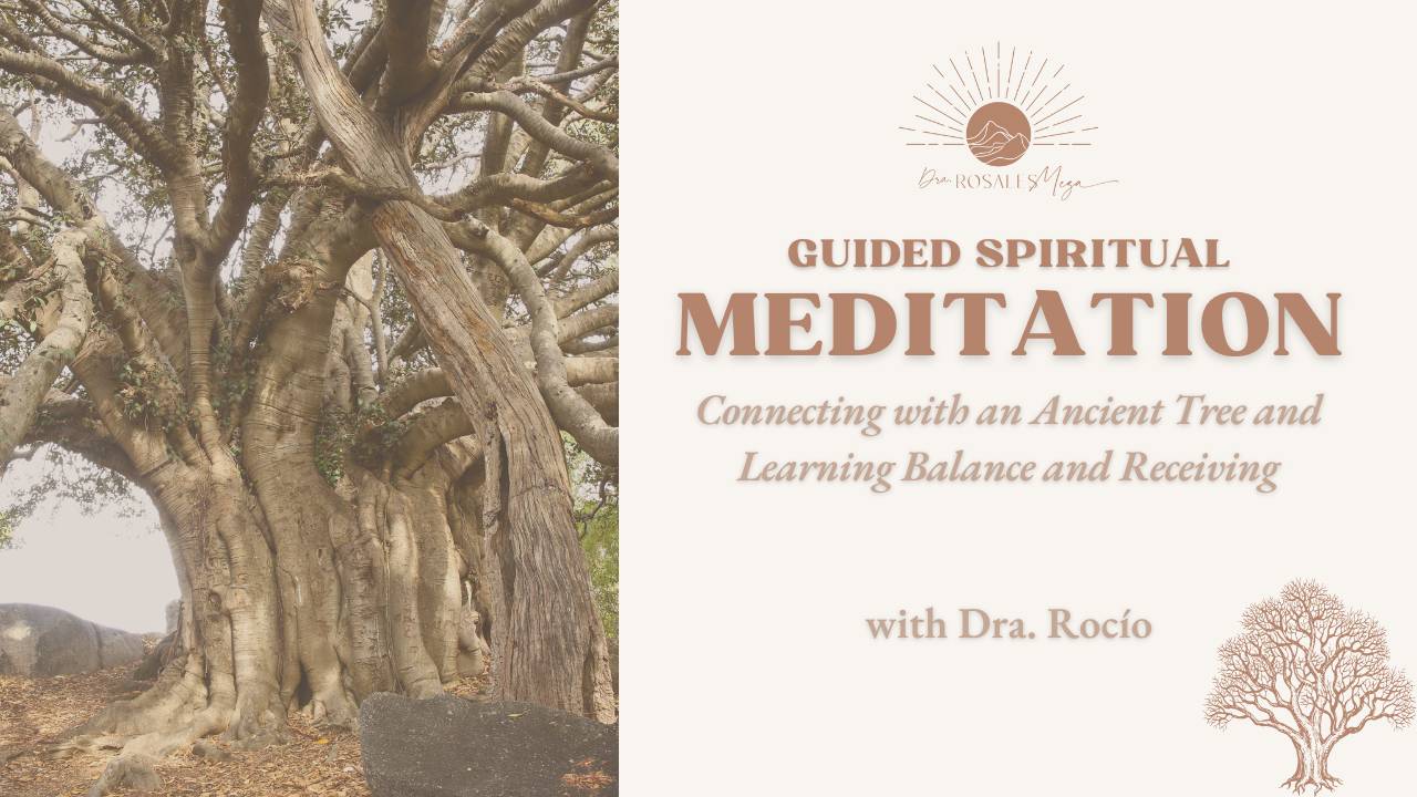 Connecting with an Ancient Tree and Learning Balance and Receiving