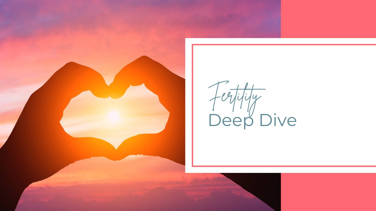 Fertility Deep Dive: Your First Step To More Support