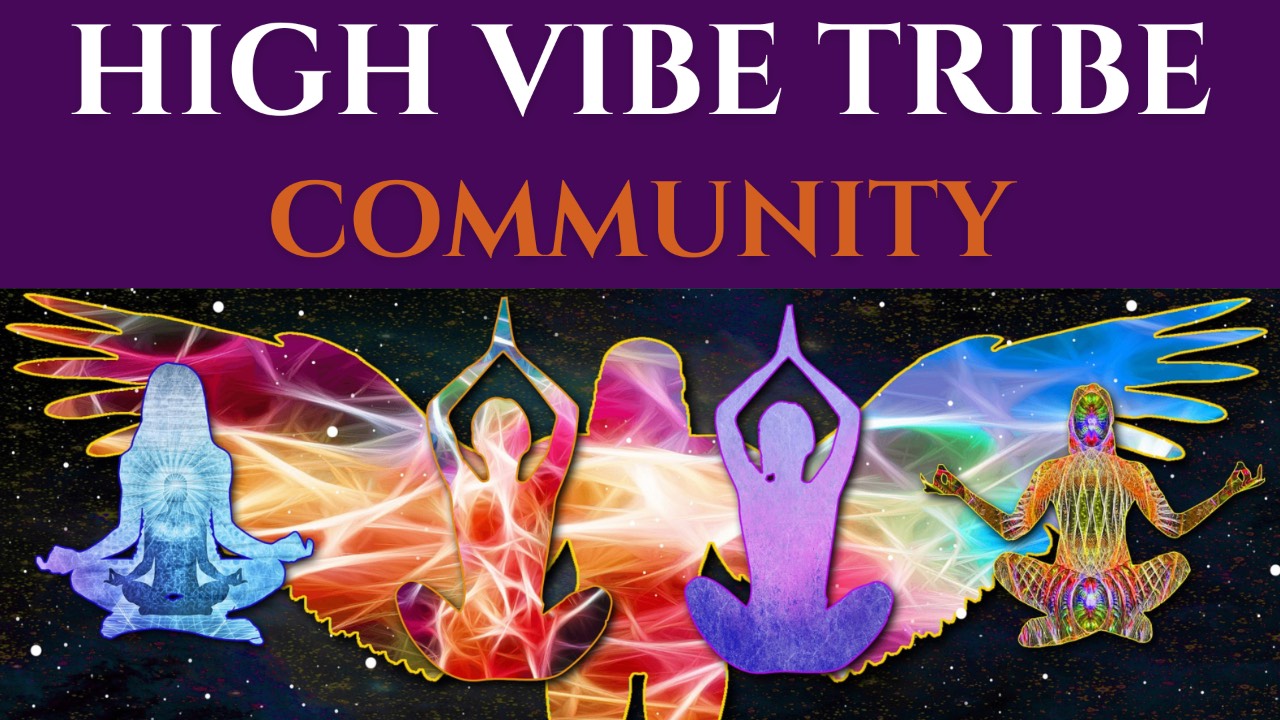 High Vibe Tribe Community