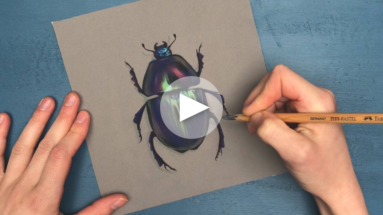 How to Draw a Beetle with Pastel Pencils | Beginner