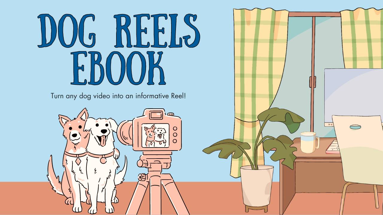 Dog Reels Guide For Positive Reinforcement Trainers