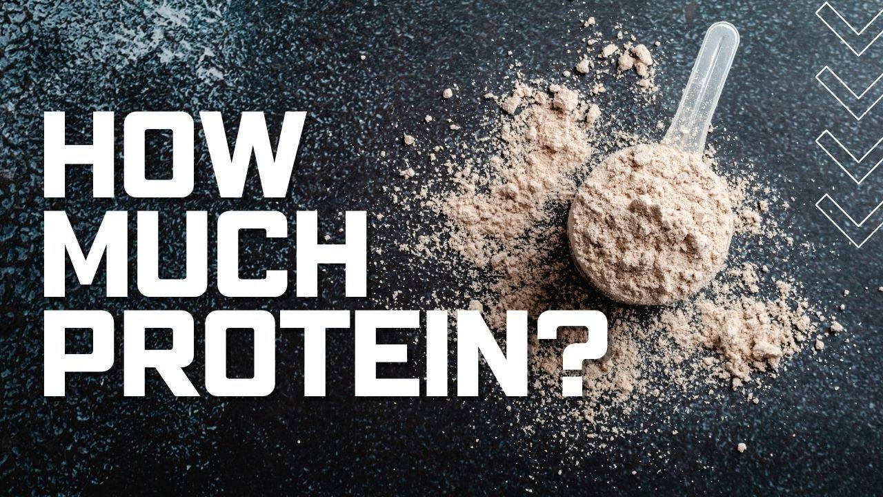 How Much Protein Do Athletes Need