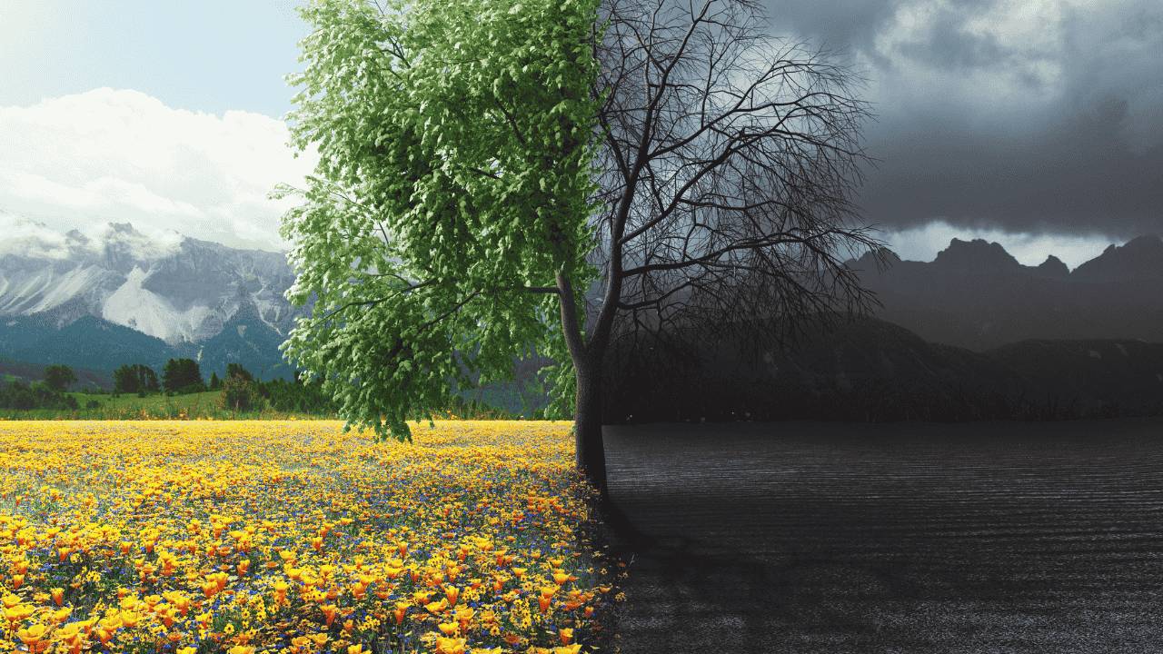 Too Good To Be True: When Joy Feels Dangerous