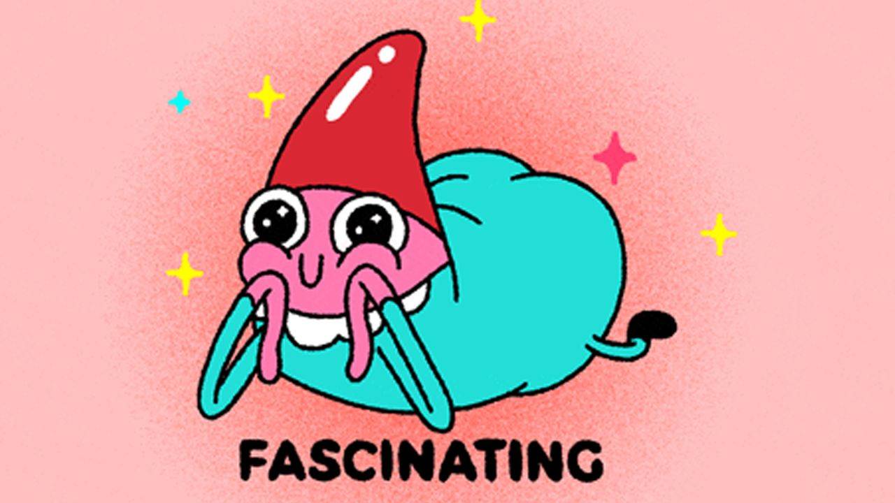 Essential tips on how to work with sign language interpreters