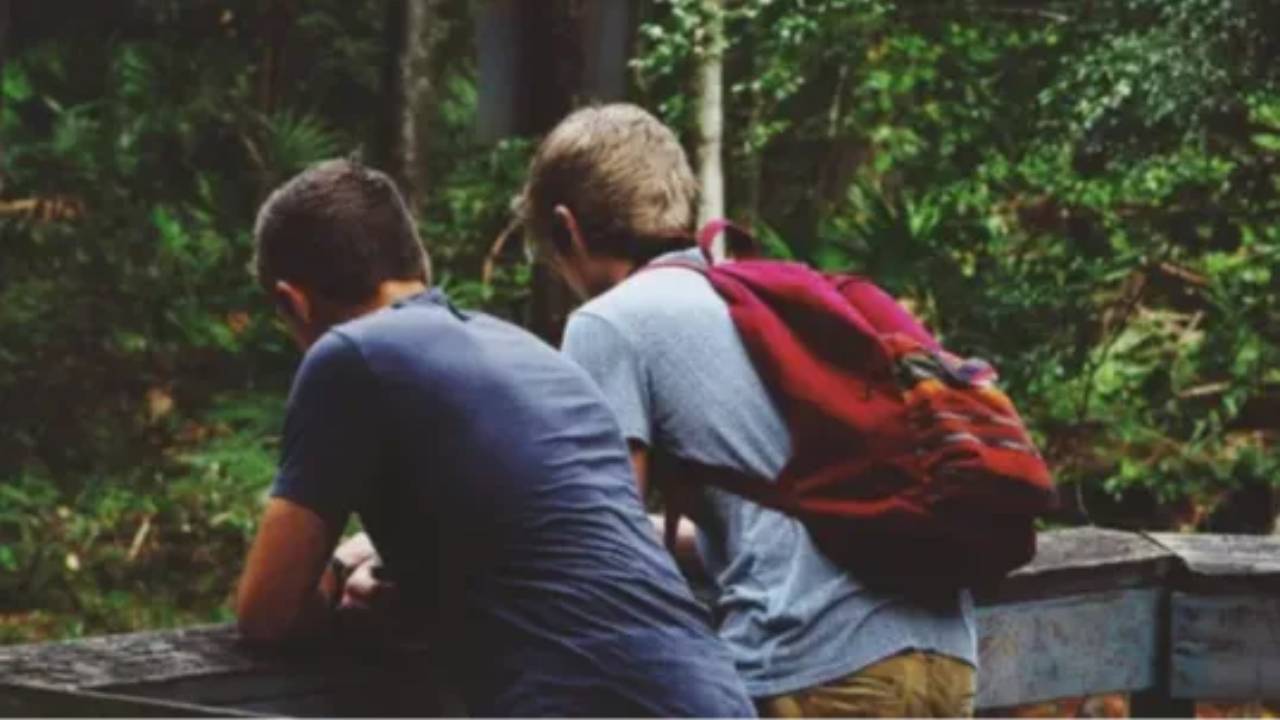 Bitten: Quick Lyme-related Protocol