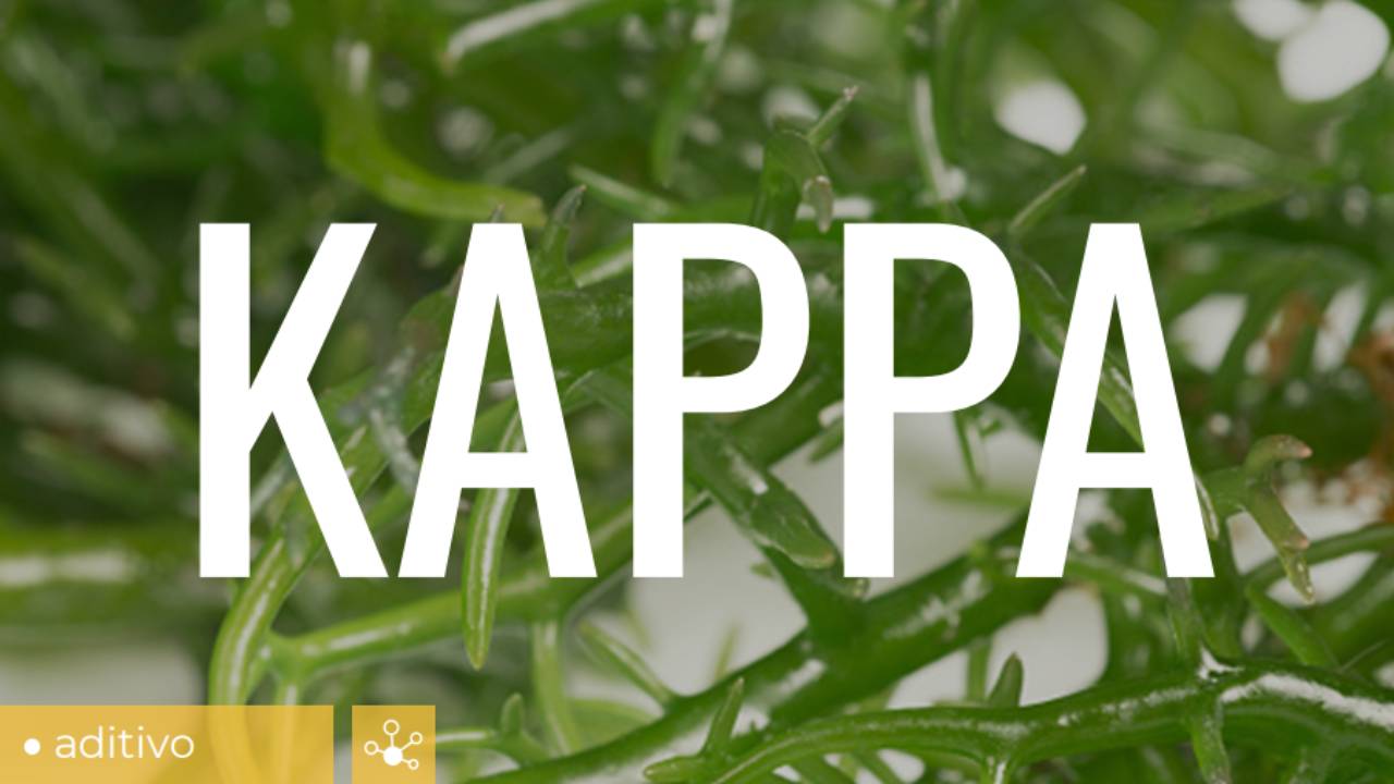 Kappa: Descubre su origen, como se aplica y técnicas de aplicación