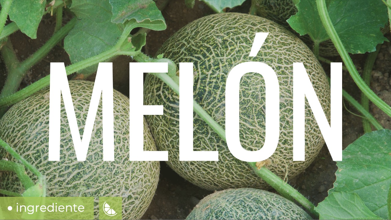 Melón: Variedades, usos y combinaciones en tus postres