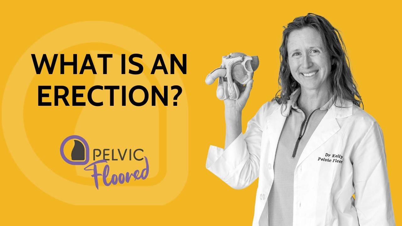 What is an Erection?