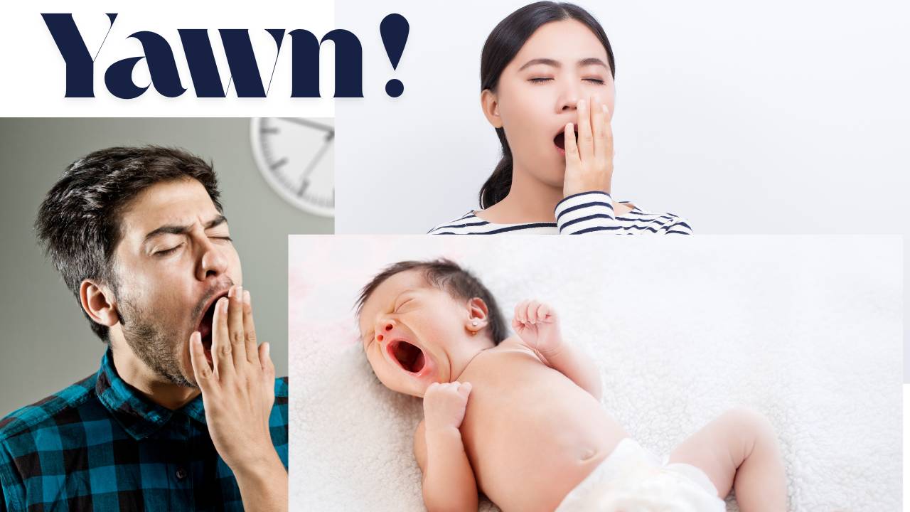 The Science & Benefits of Yawning