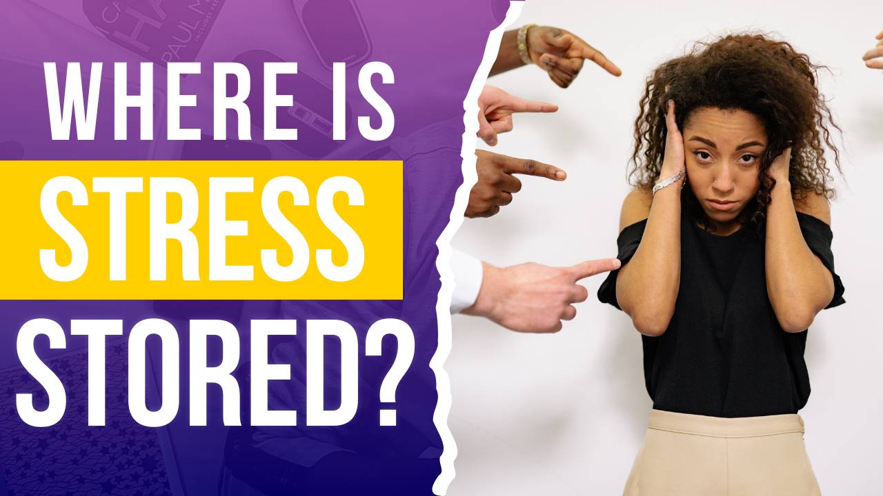 Where is Stress Stored in the Body?