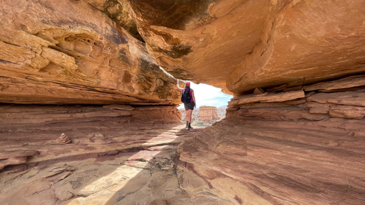 Unlock Growth: Embrace Curiosity and Lifelong Learning