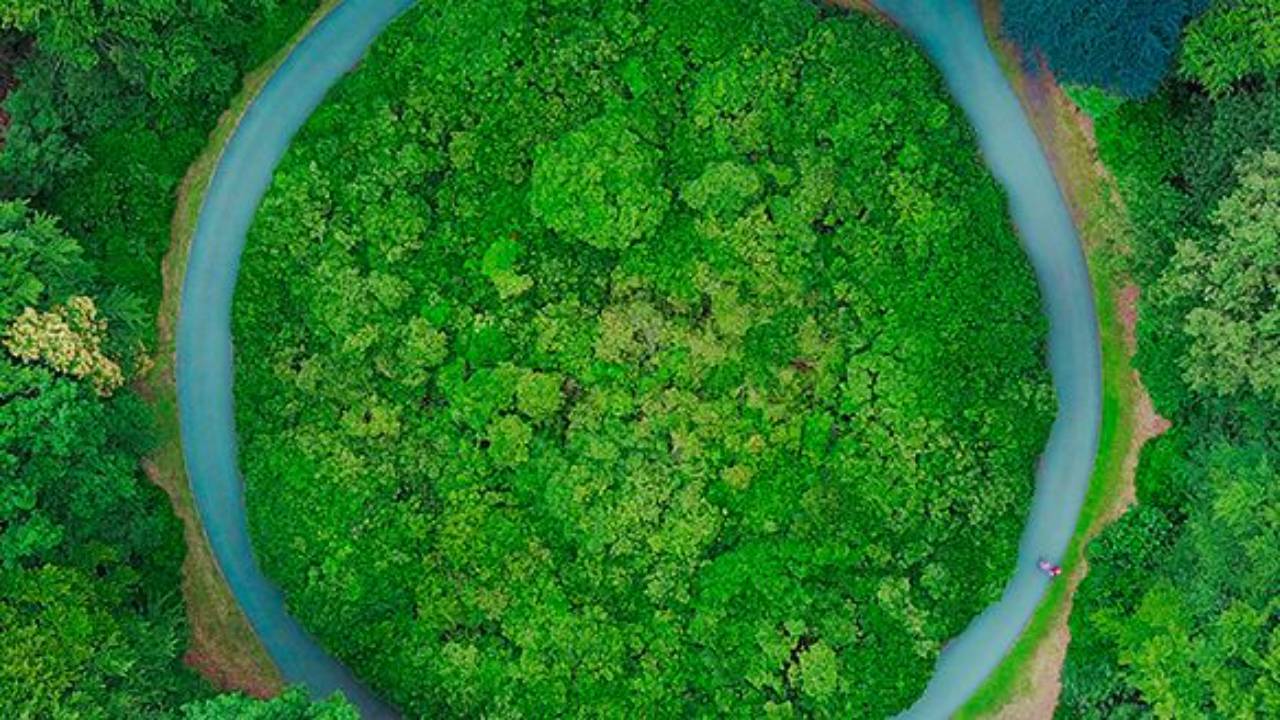 A healthy biological terrain is the foundation of health and wellness