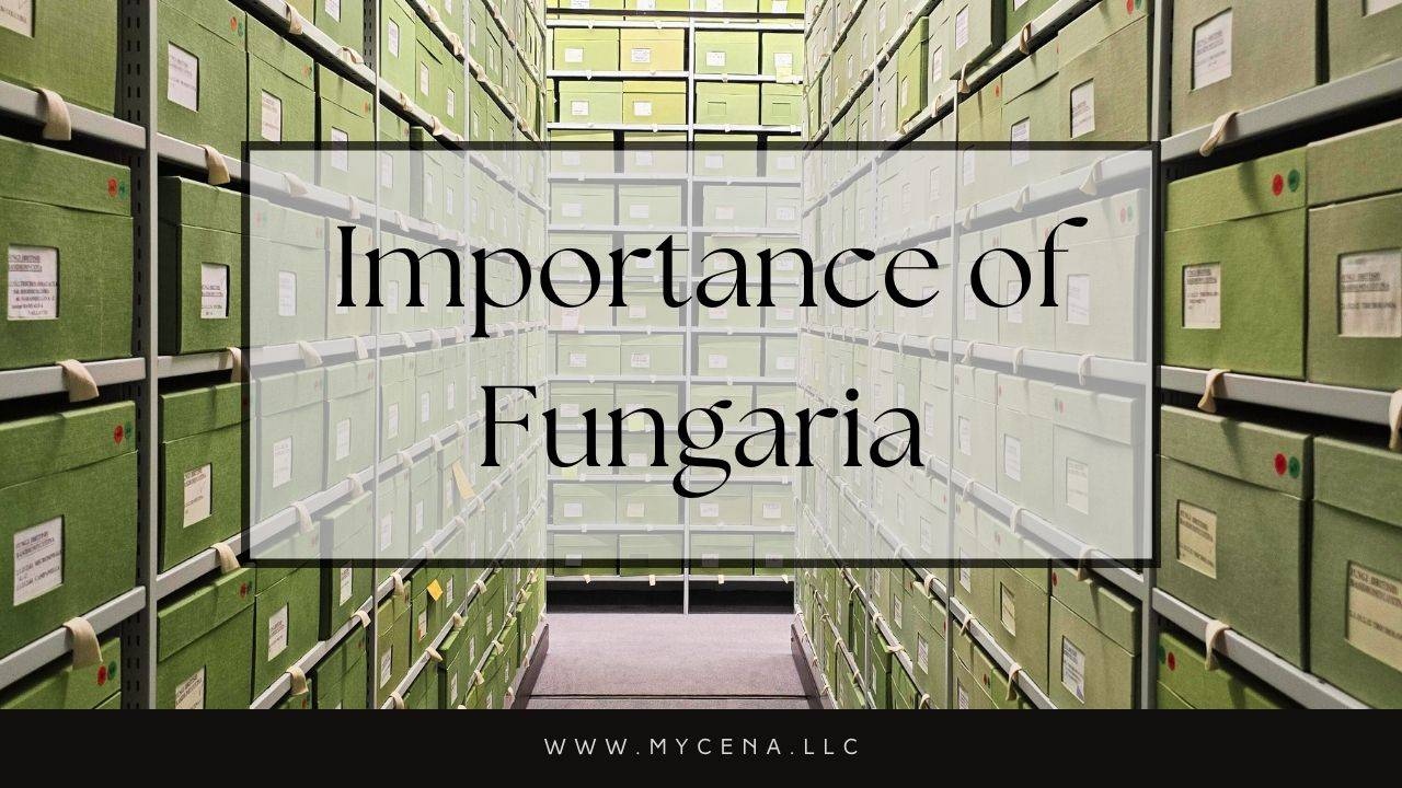 Importance of Fungaria