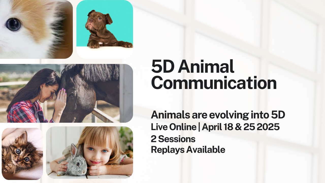 5D Animal Communication