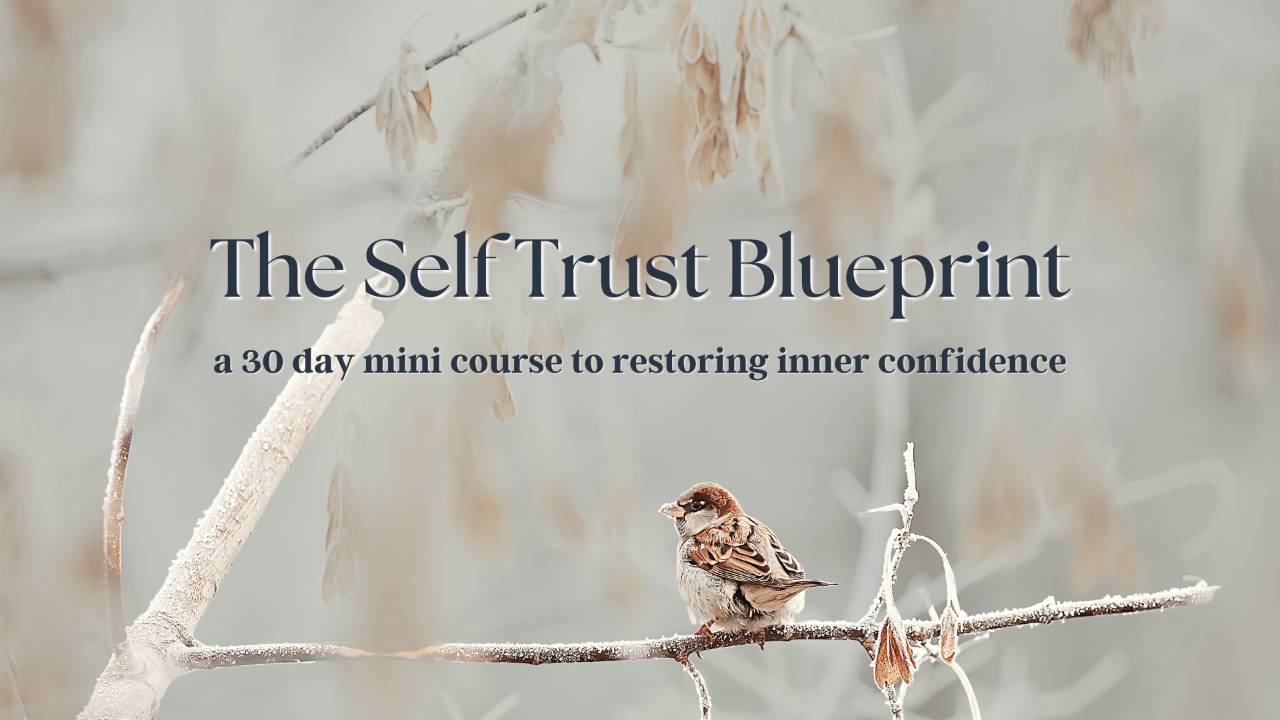 Self-Trust Blueprint: Rebuild Confidence & Heal Relationship with Self