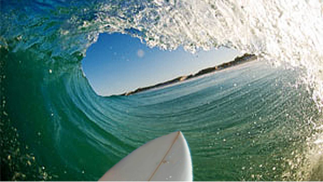 Strange Surfer Wisdom