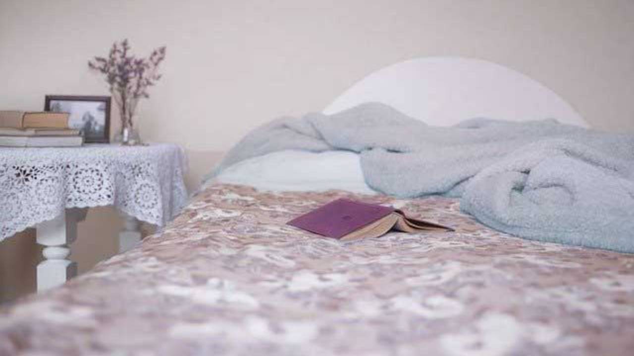 Little Red Reading Hood