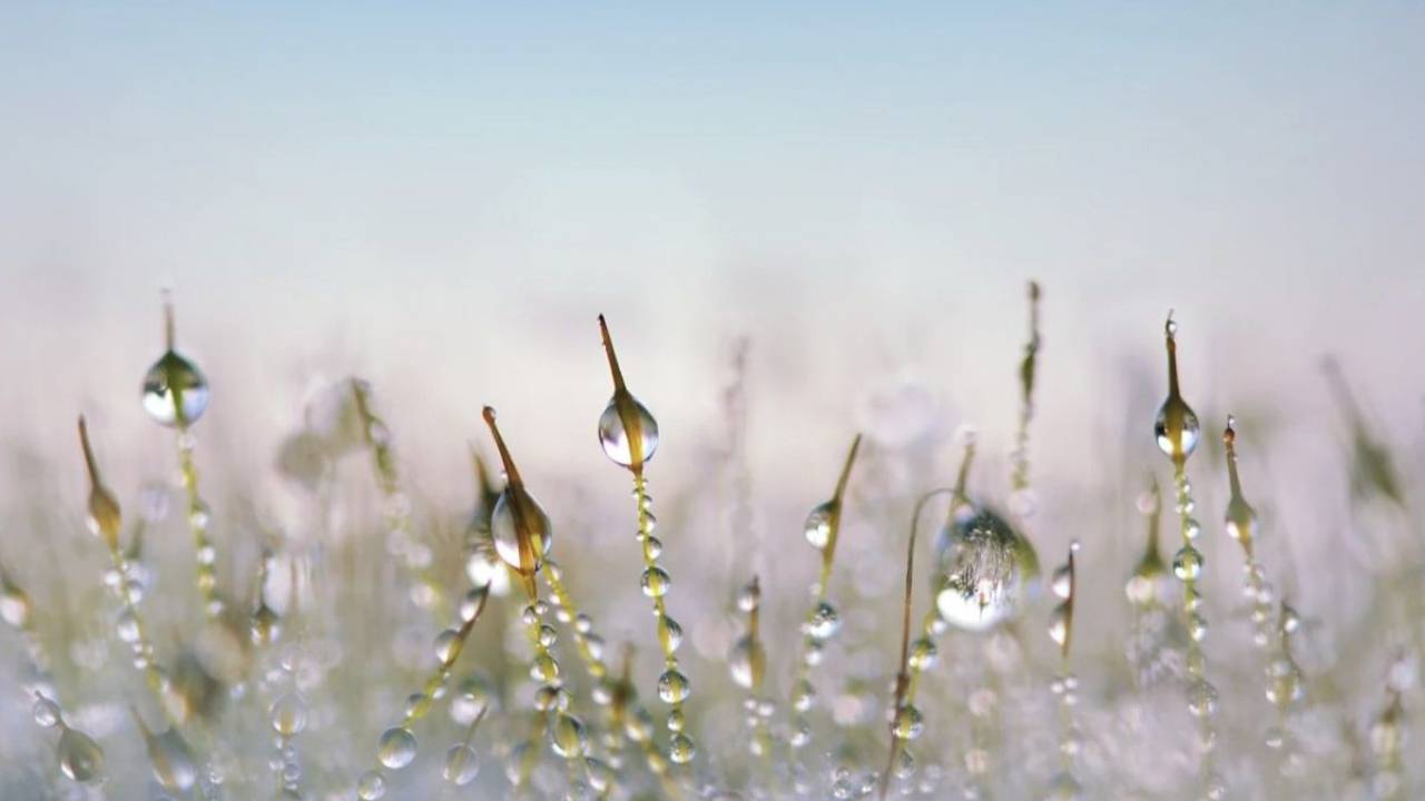 The Rare Faith Book – Part 2