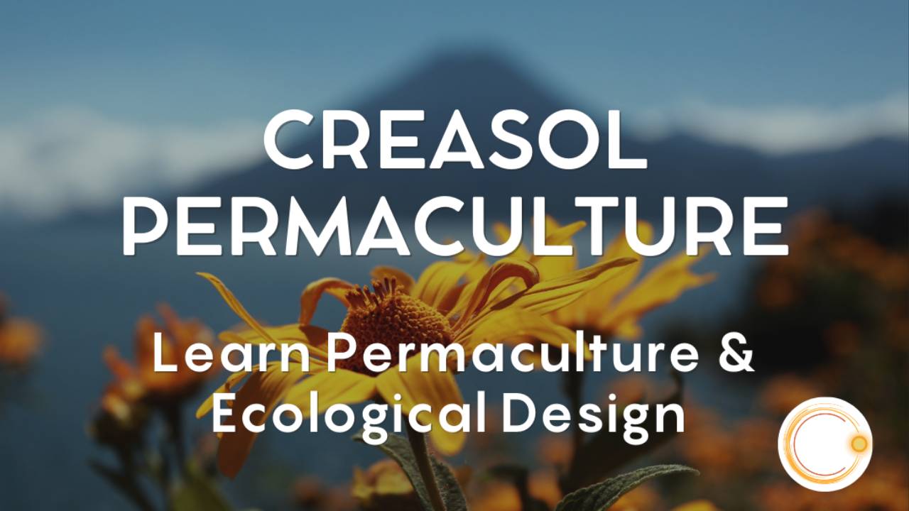 CreaSol Permaculture | Learn Permaculture & Ecological Design