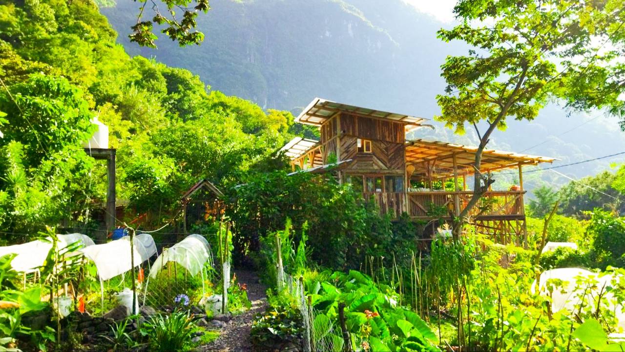 Creative Solutions - Creasol Permaculture!