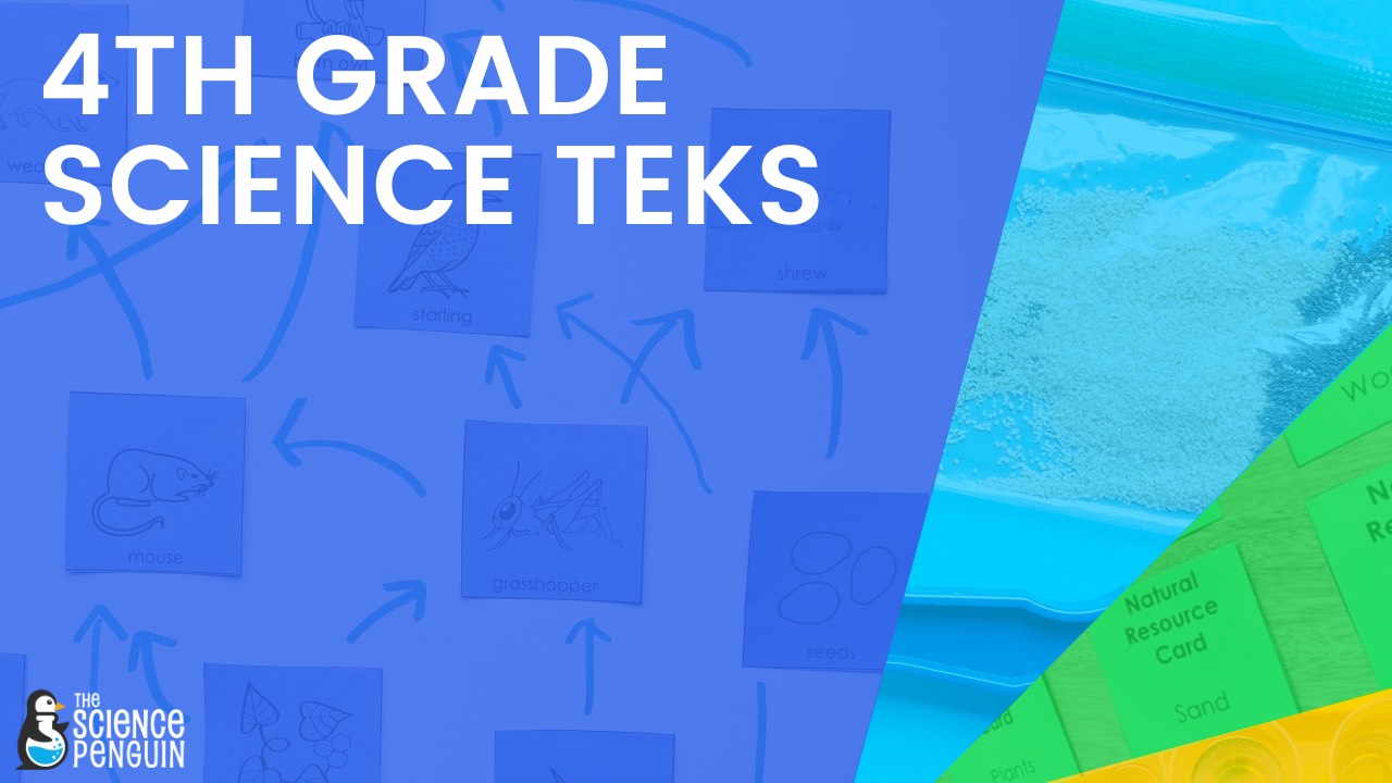 4th Grade TEKS Personal User