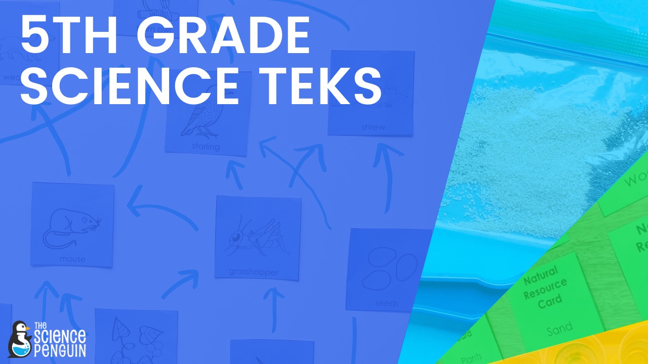 5th Grade TEKS Personal User