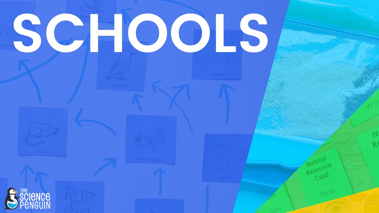 School Subscriptions