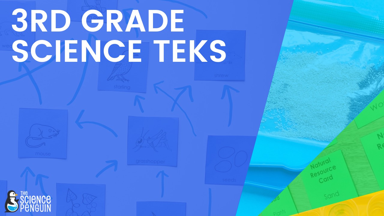 3rd Grade TEKS Personal Use