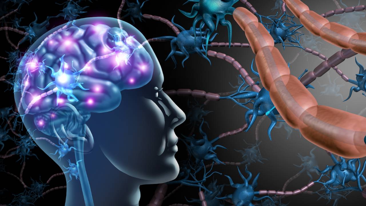 Neuroscience for Change Certification